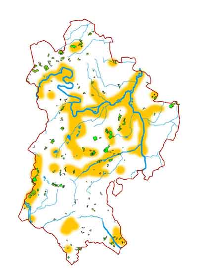 noctule-dist | Bedfordshire Bat Group