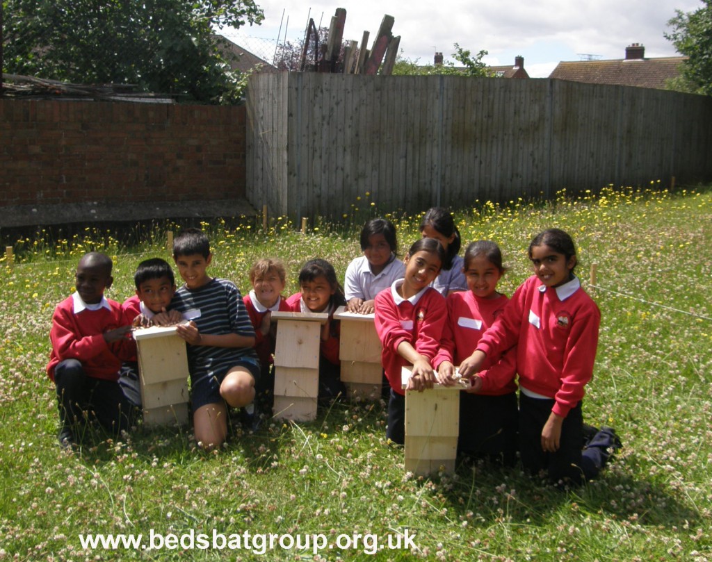 Count Bat 2008 | Bedfordshire Bat Group