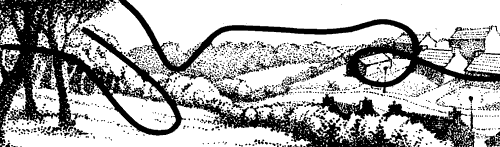 Serotines | Bedfordshire Bat Group