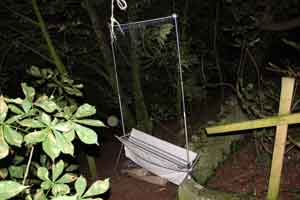 harp-trap | Bedfordshire Bat Group