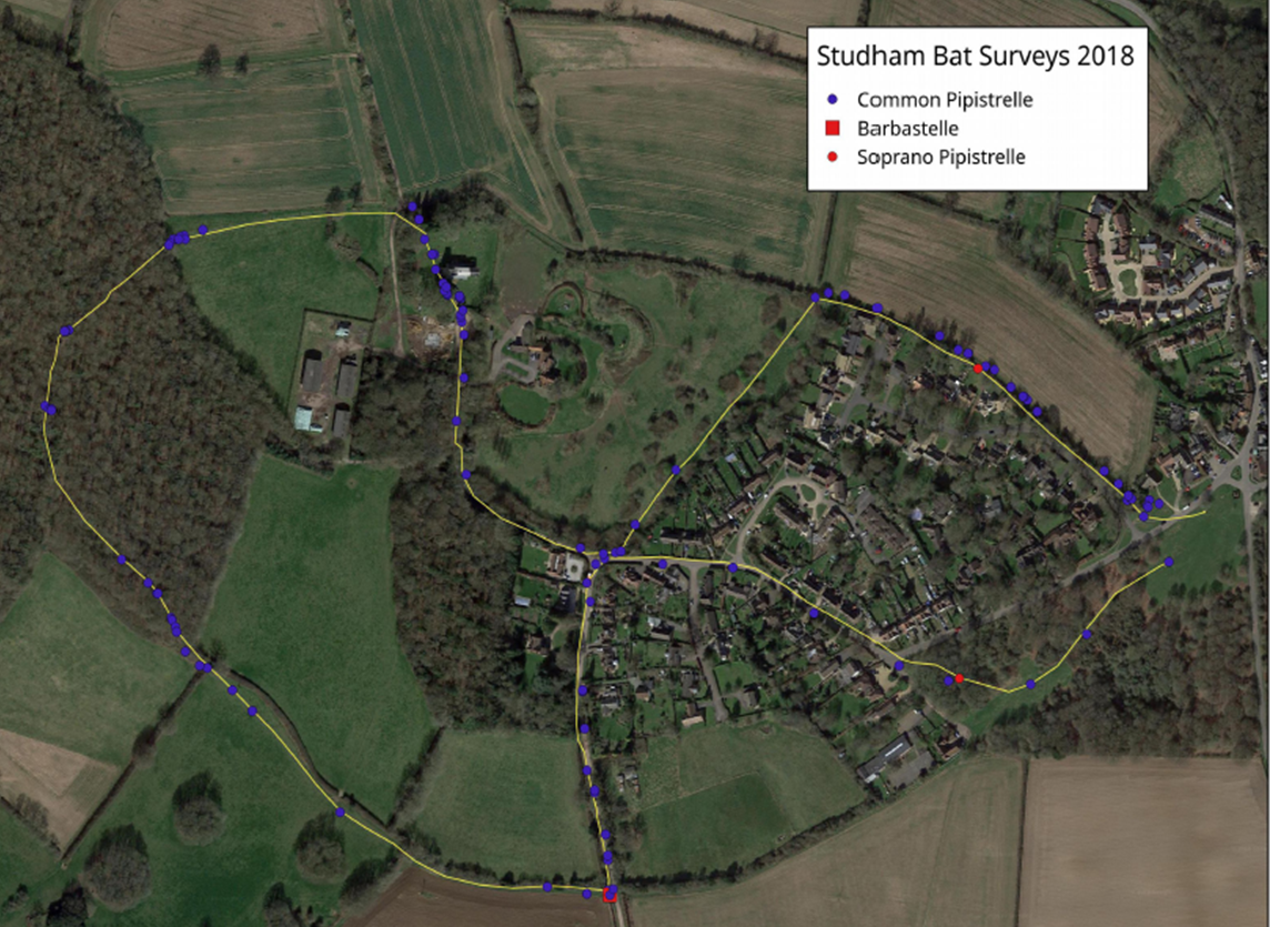 The Luton Survey-Studham | Bedfordshire Bat Group